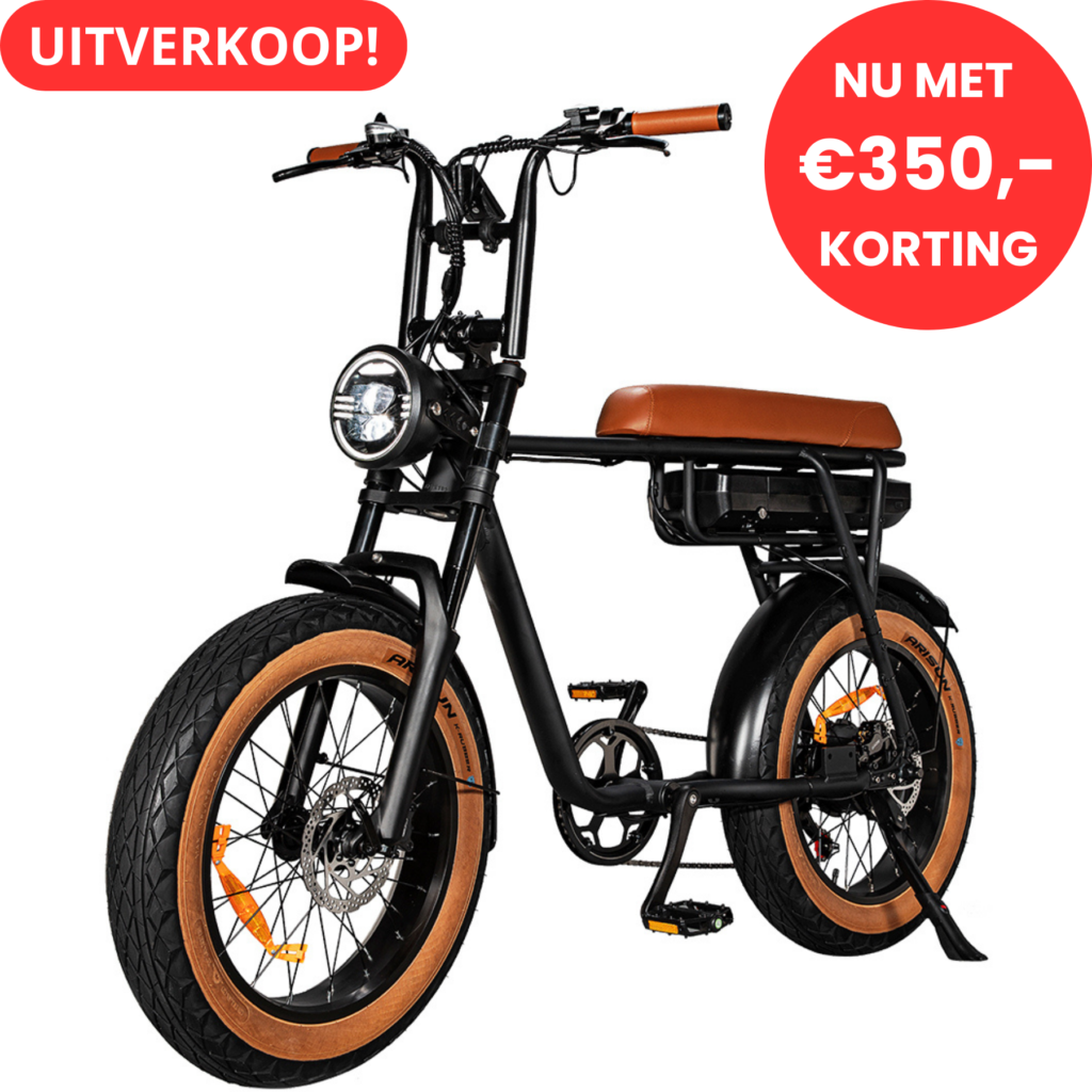 EB2 - Bruin - VOLT BIKES
